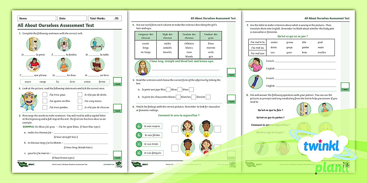 👉 French: All About Ourselves: Year 5 Assessment Test