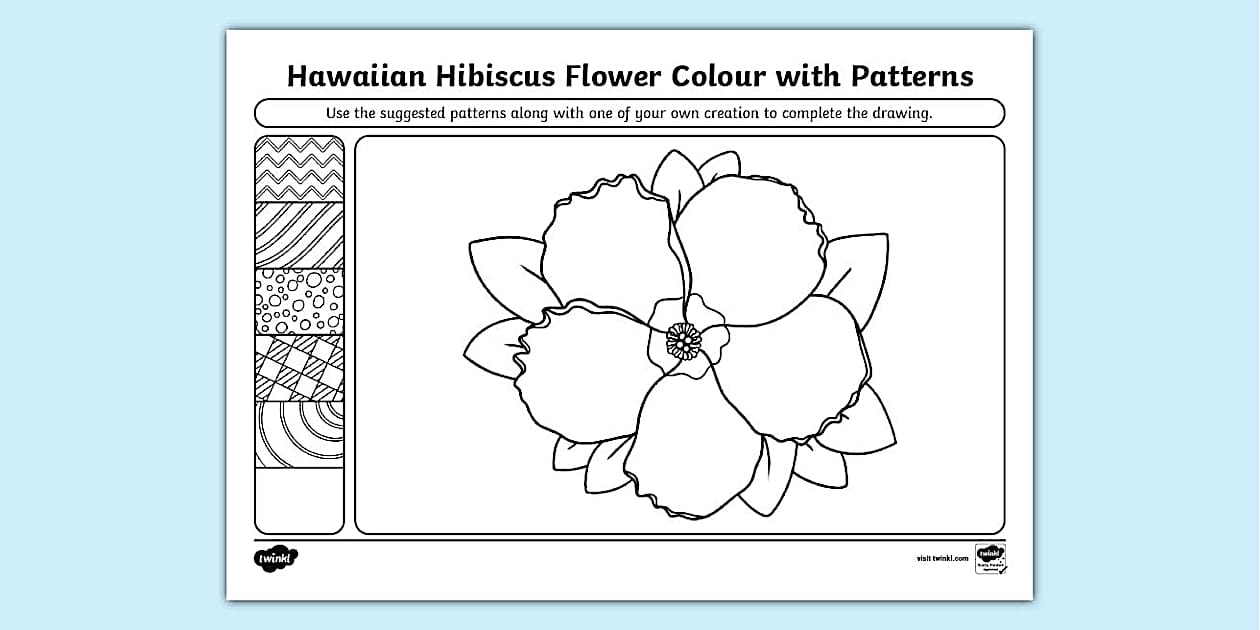 Hawaiian Hibiscus Flower Colour with Patterns Activity
