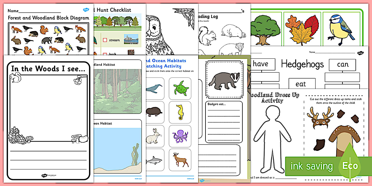 Top Ten Forest and Woodland Activity Pack