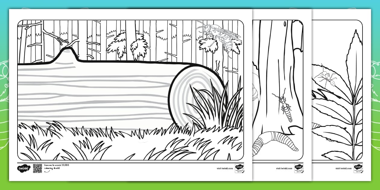 Microhabitat Colouring Sheets (Teacher-Made) - Twinkl