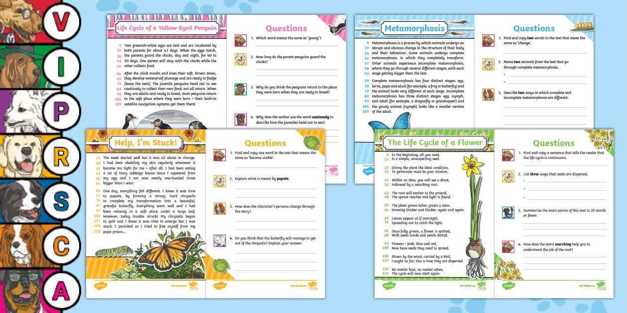 UKS2 60-Second Reads: Life Cycles Activity Pack - Twinkl