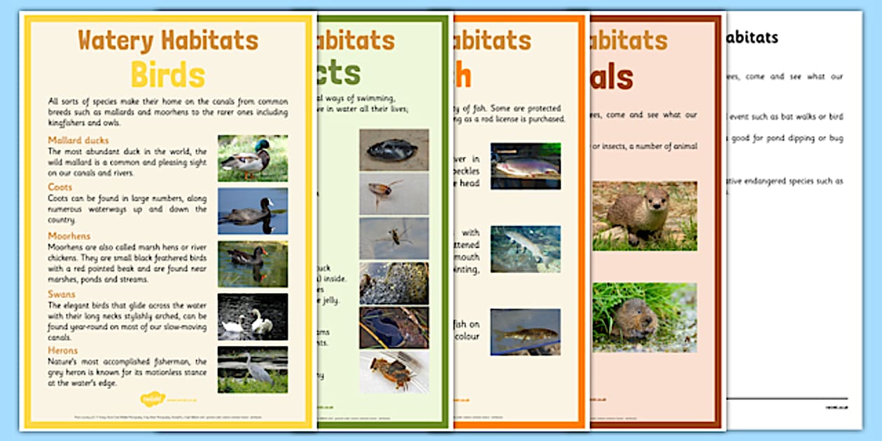 Canal Habitats Display Poster Pack - Twinkl