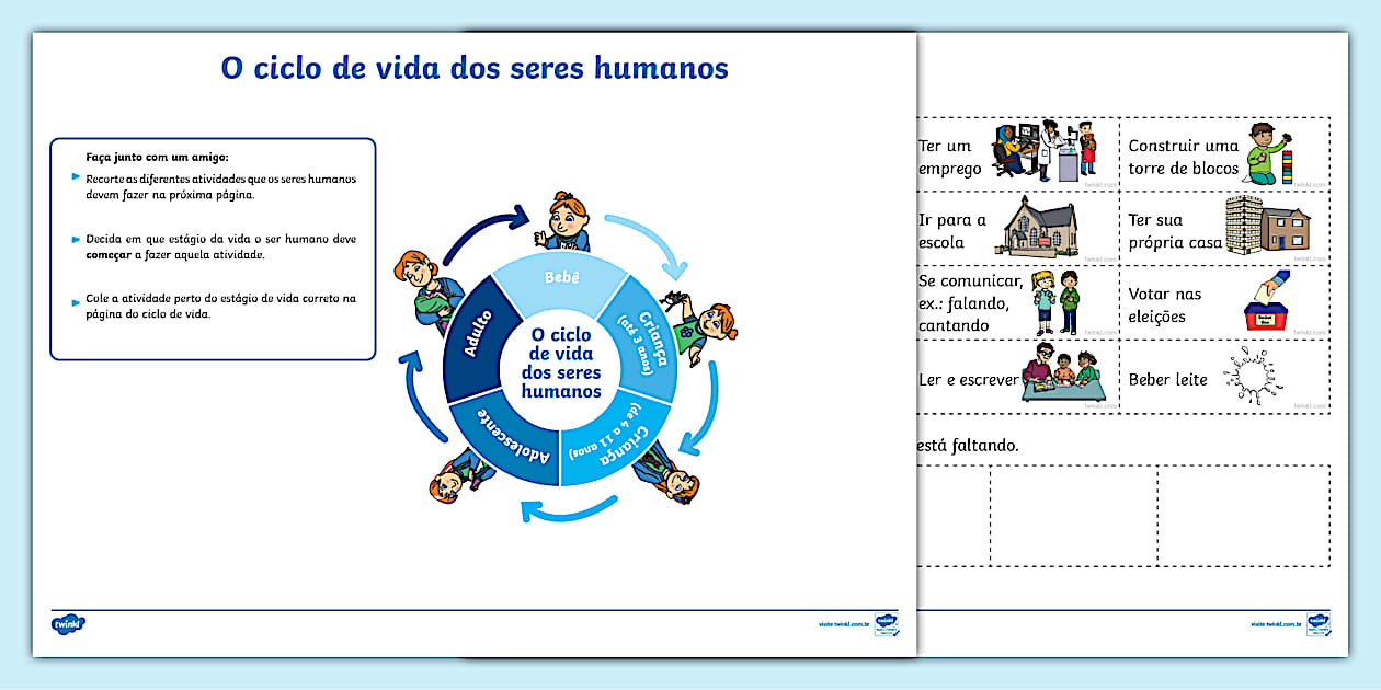 O ciclo de vida do ser humano - Folha de atividade - Twinkl