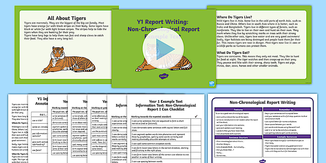 Editable Year 1 Report Writing: Non-Chronological Report Model/Example Text