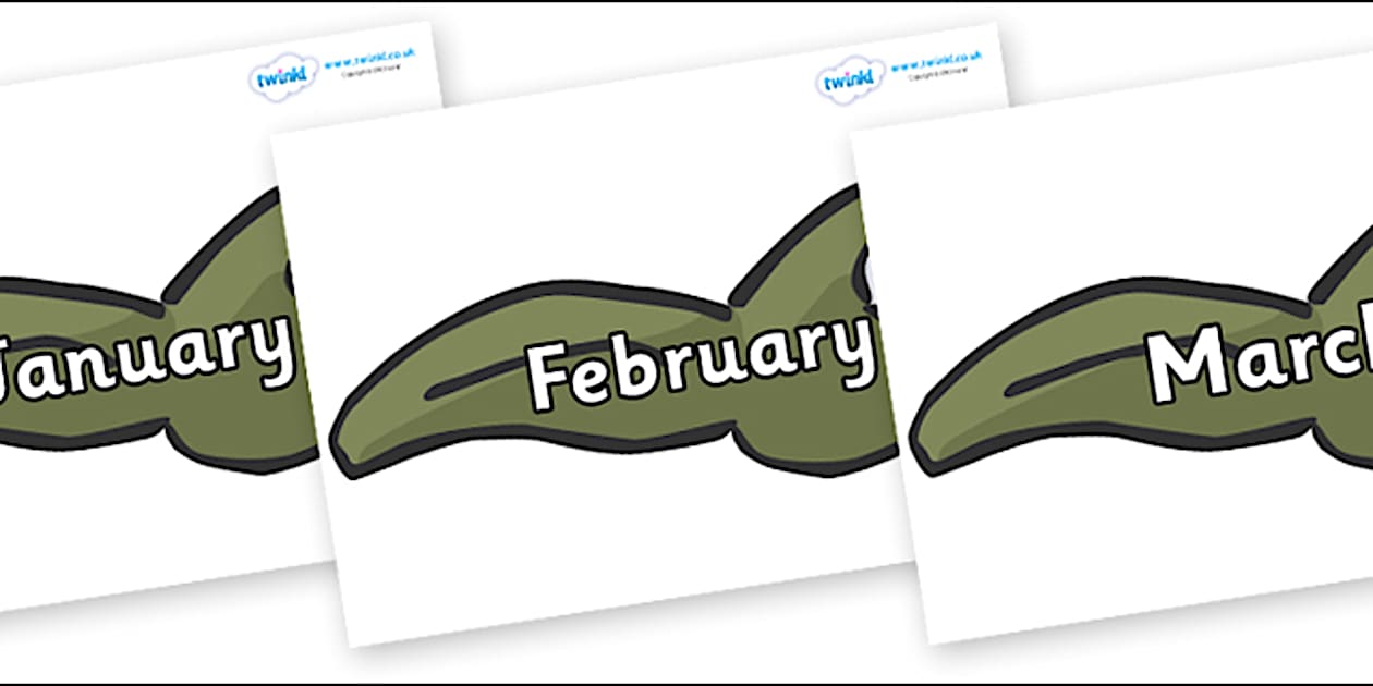 Cursive Months of the Year on Tadpoles (teacher made)