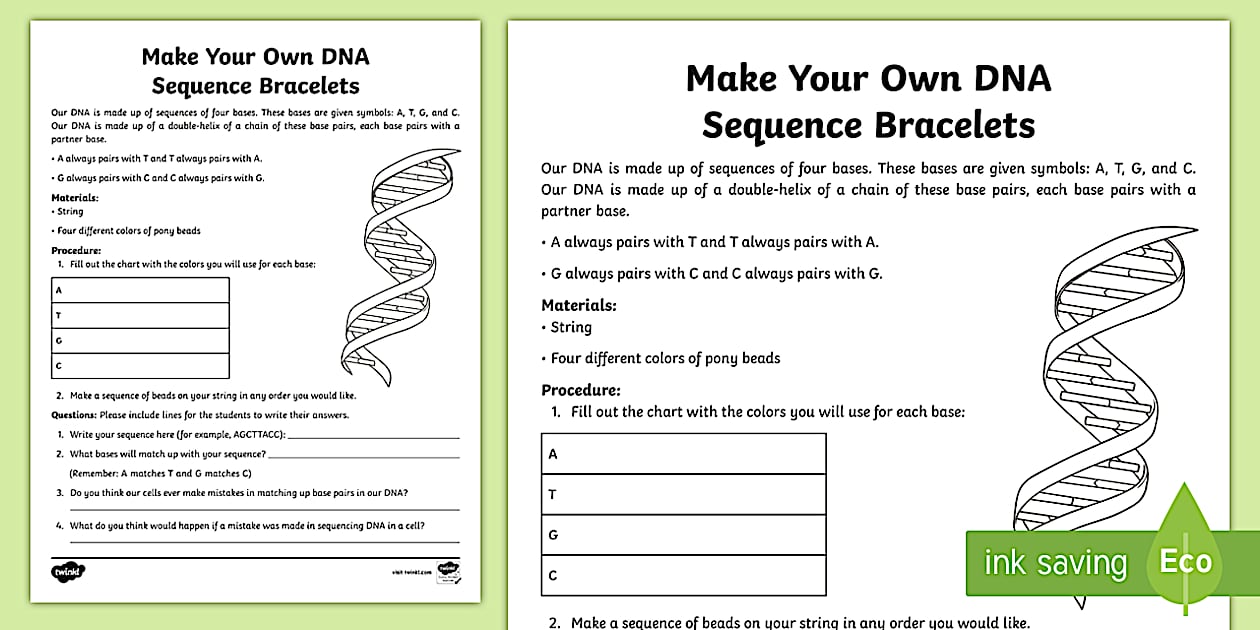 Make Your Own DNA Structure Bracelets Worksheet for 6th-8th Grade