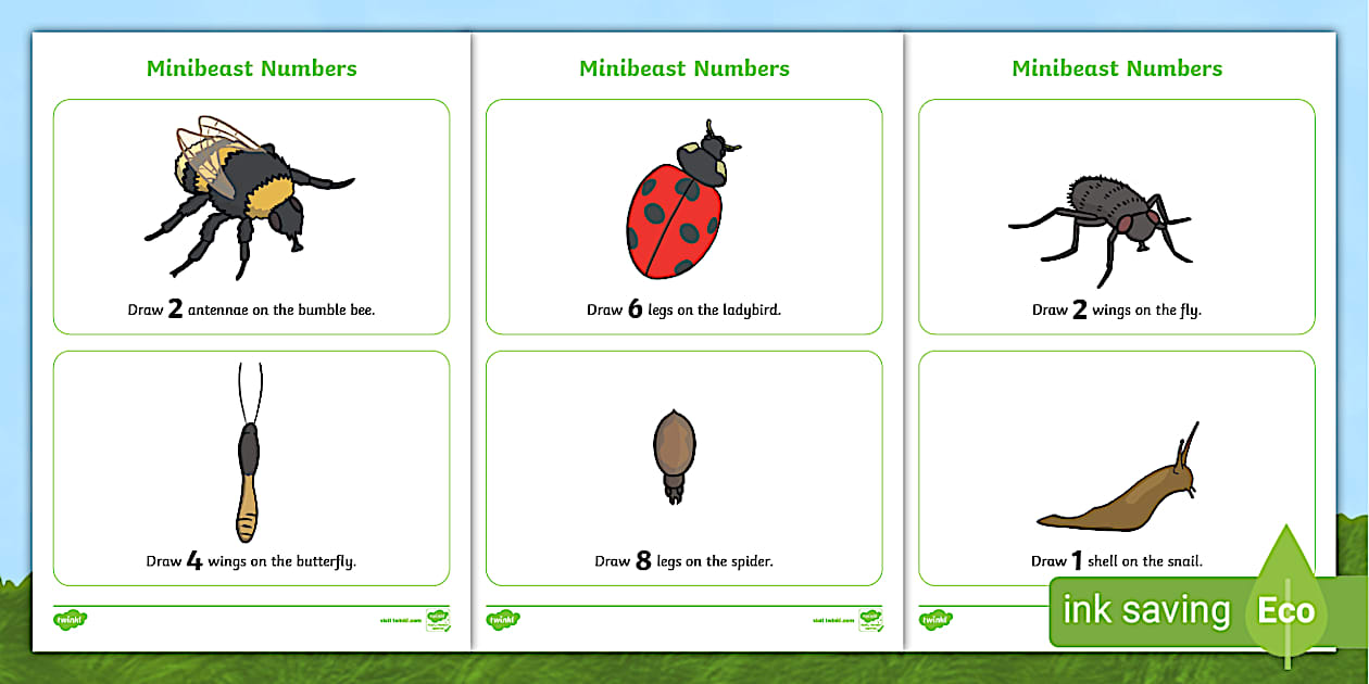 Minibeasts Drawing Number Worksheets (teacher made) - Twinkl