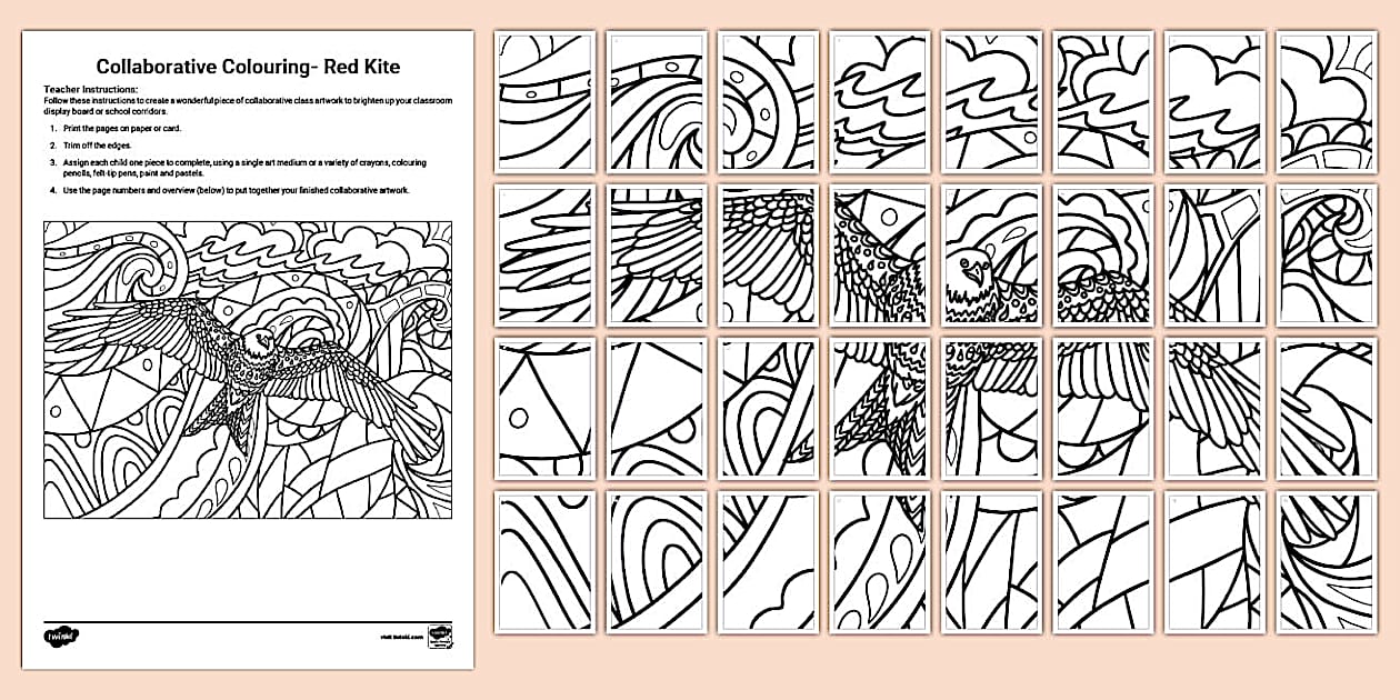 Red Kite Collaborative Colouring (teacher made) - Twinkl