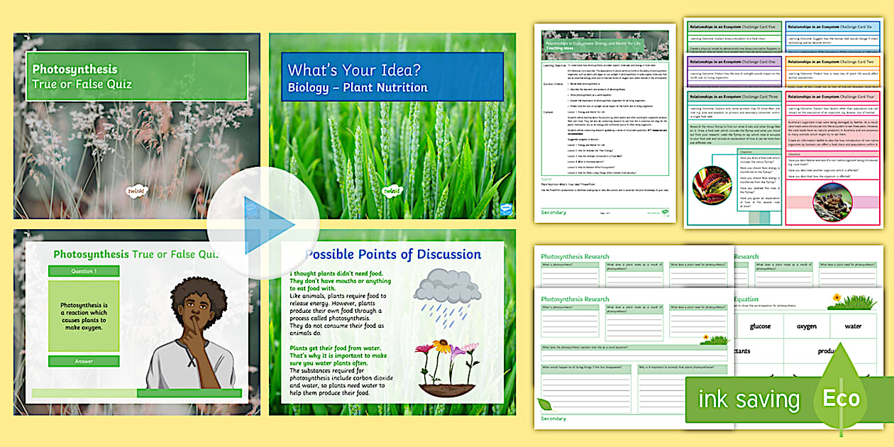 Relationships in Ecosystems Activity Pack | Beyond - Twinkl