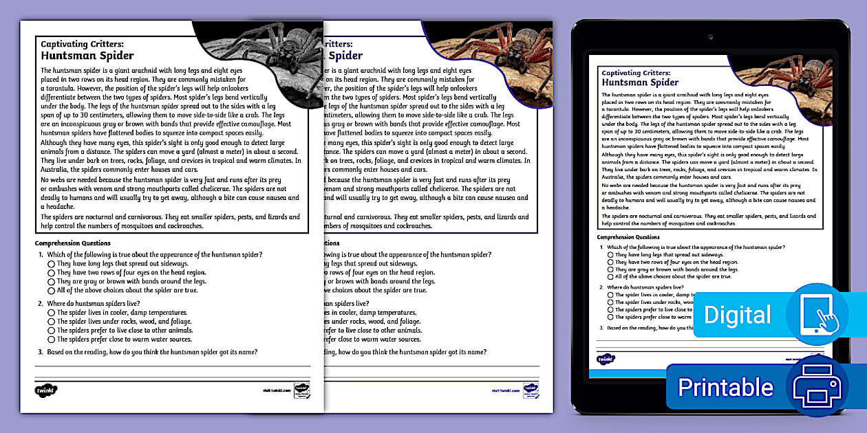 Eighth Grade Captivating Critters Huntsman Spider Reading Passage