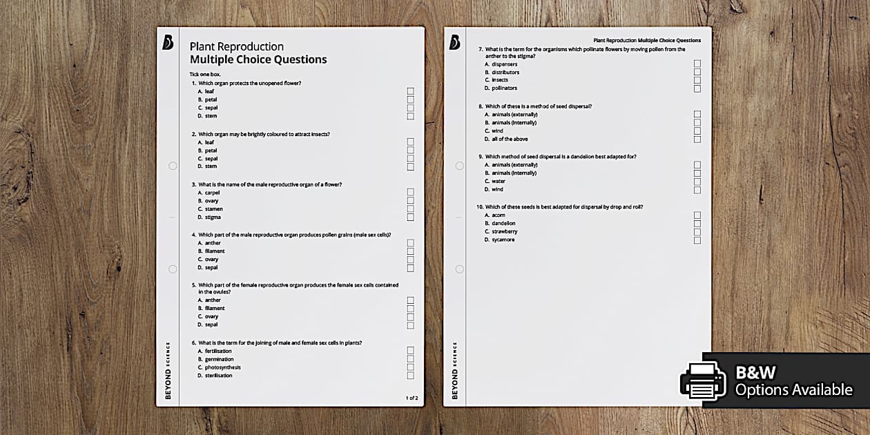 Plant Reproduction MCQ's (teacher made) - Twinkl
