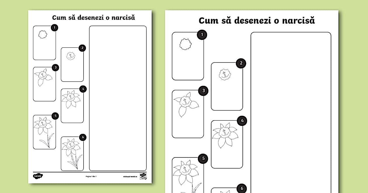 Cum să desenezi o narcisă Desen în creion pentru începători