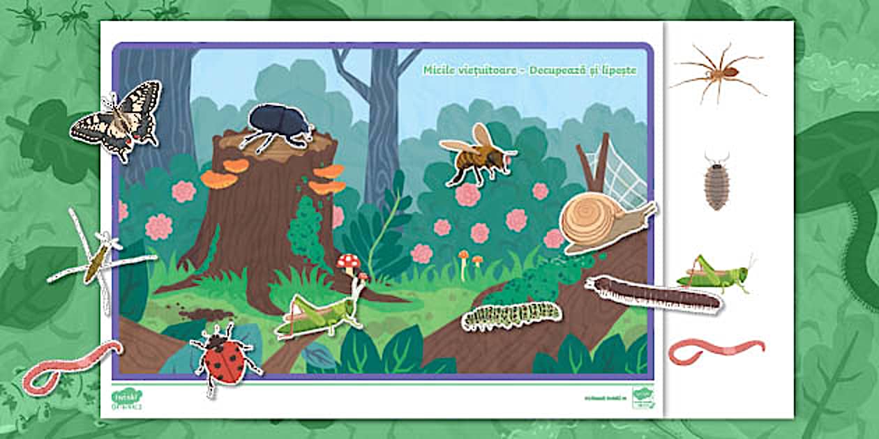 Micile viețuitoare – Decupează și lipește - Twinkl