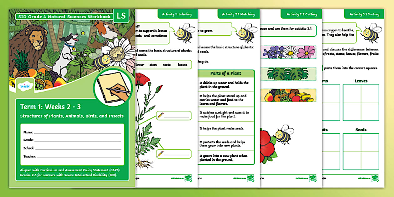 SID: Grade 4 Natural Sciences Booklet Term 1 Weeks 2 & 3 LS