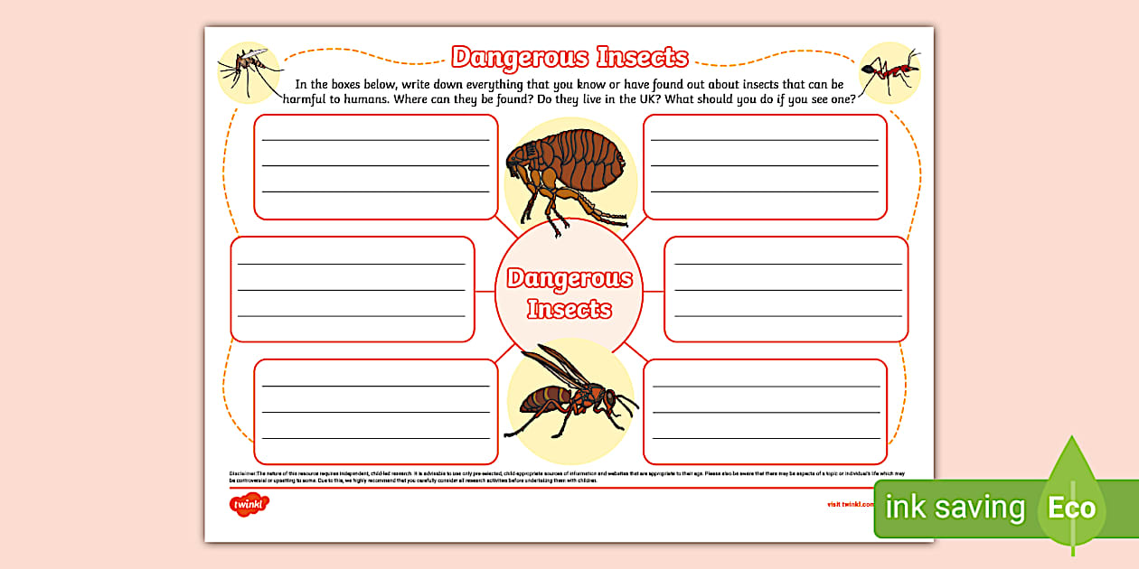 Dangerous Insects Mind Map (Teacher-Made) - Twinkl
