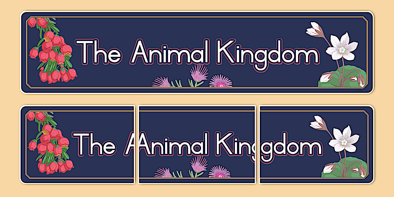 Fynbos-Themed The Animal Kingdom Display Banner - Twinkl