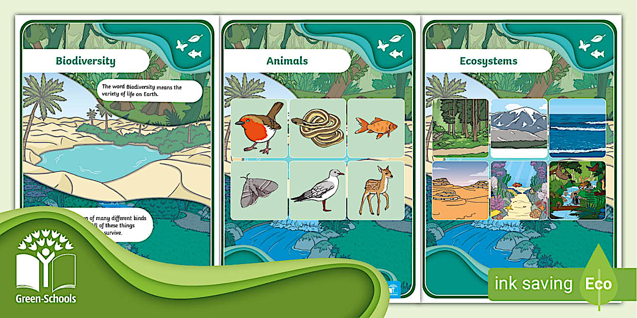 Green Schools Biodiversity Posters (teacher made) - Twinkl