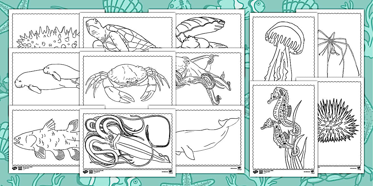 Ocean Life Colouring Pages for EYLF Students | Twinkl