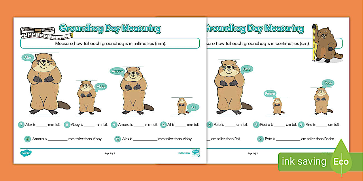 Groundhog Day Metric Measuring Activity (Teacher-Made)