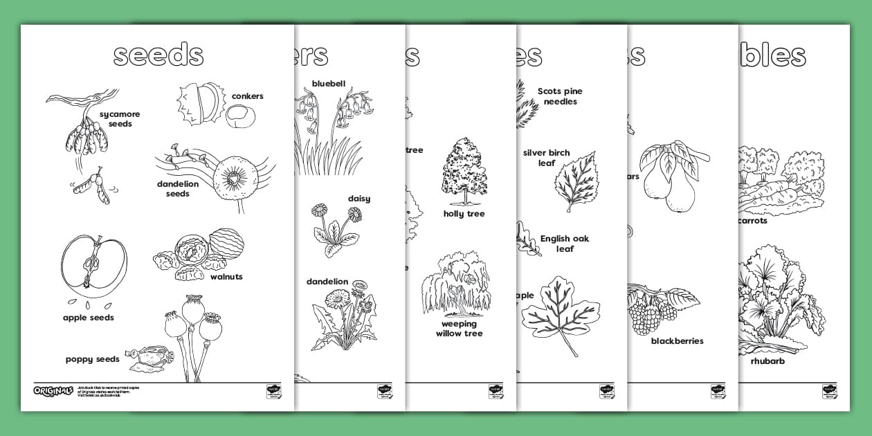 Originals First Words Colouring Pages: Plants and Growing