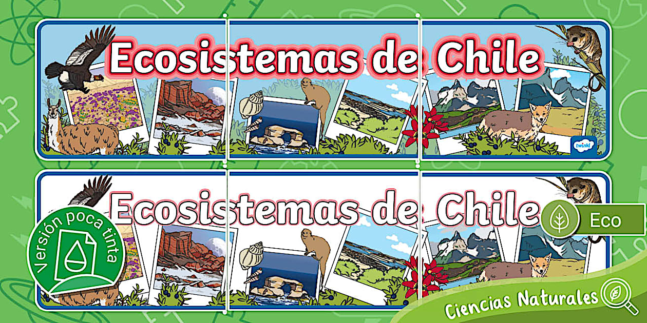 Cartel los ecosistemas de Chile (teacher made) - Twinkl