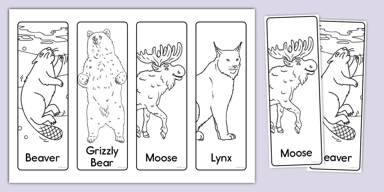 Animals of Canada Bookmarks - Twinkl Canada (teacher made)