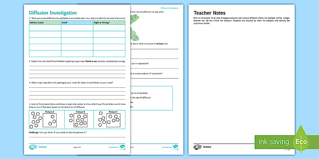 Diffusion Activity Investigation Worksheet | Twinkl - Twinkl