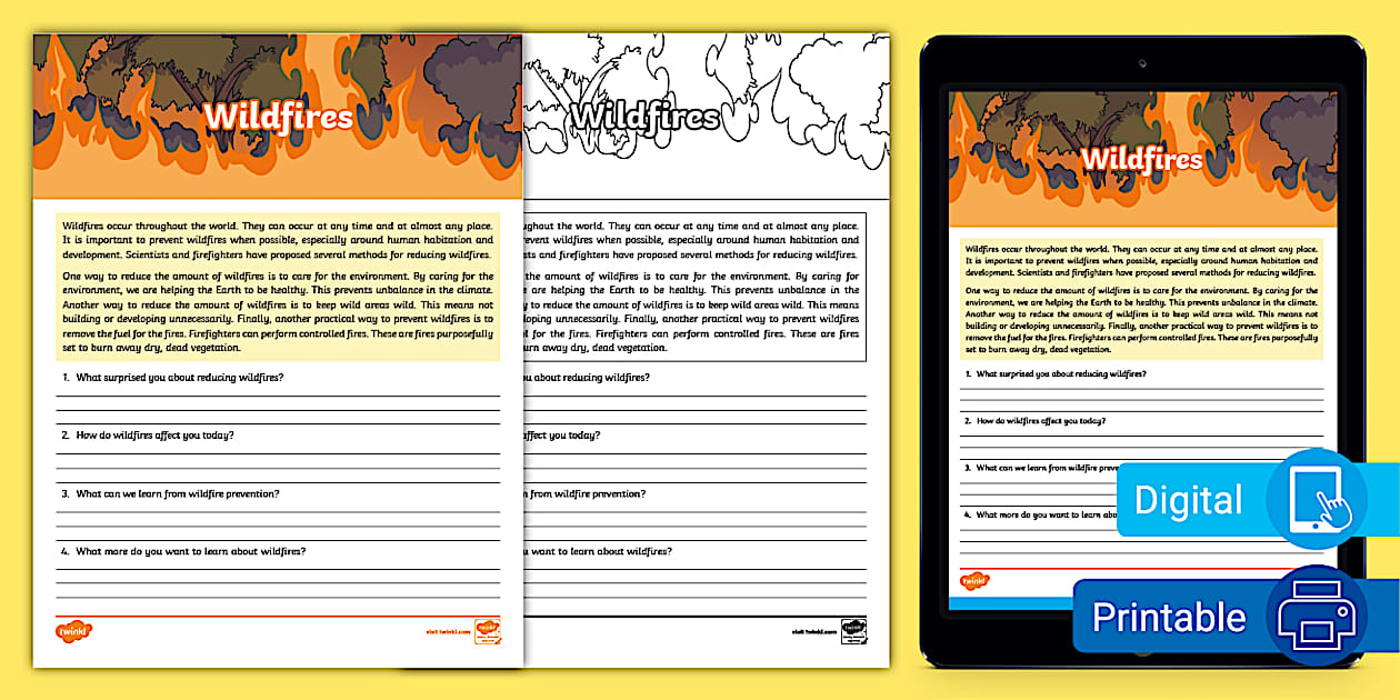 Fourth Grade Wildfires Reading Response Activity Worksheet