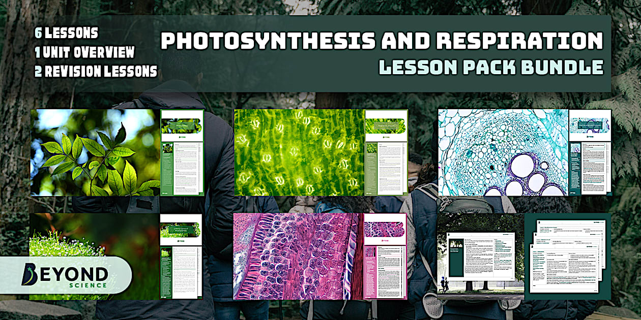 KS3 Photosynthesis and Respiration Lesson Pack Bundle