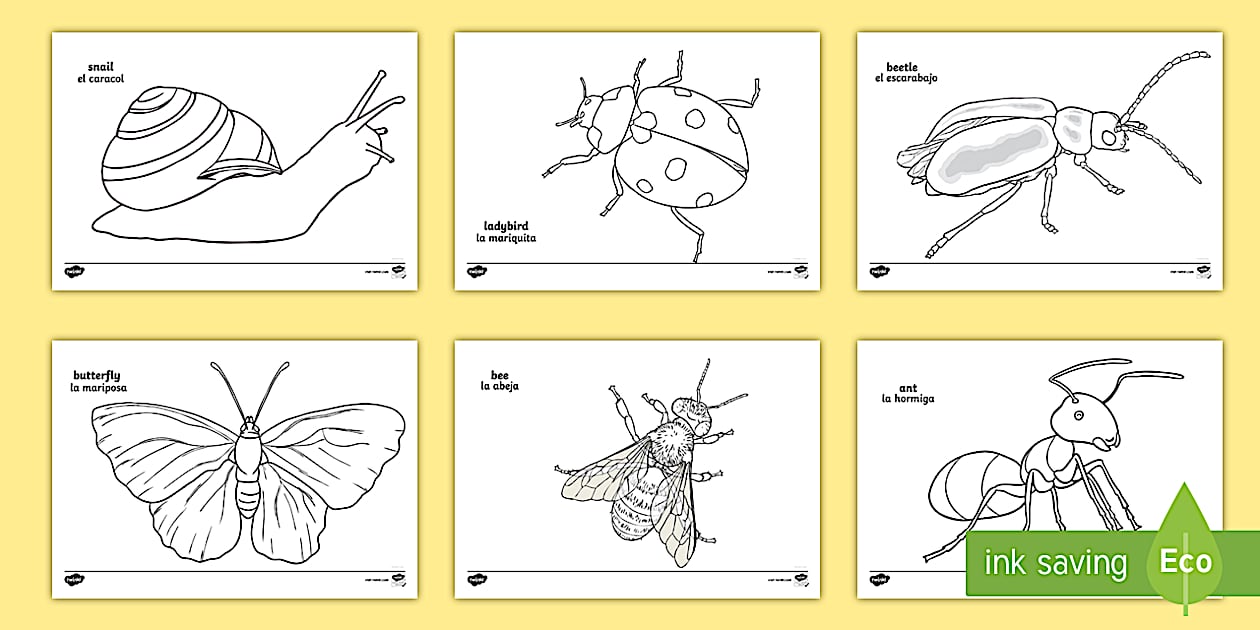 Minibeasts Coloring Pages English/Spanish (Teacher-Made)