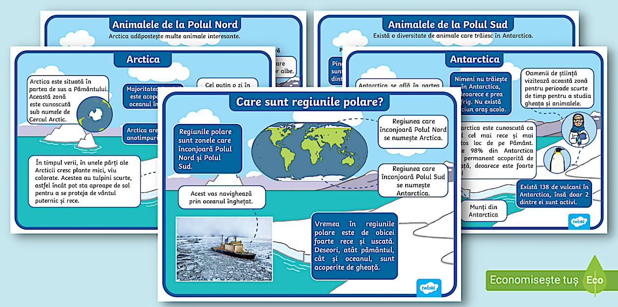 Regiunile polare – Planșe informative