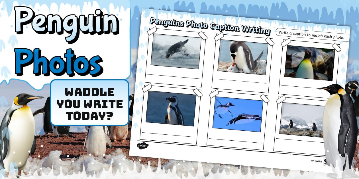 Penguins Photo Caption Writing Template