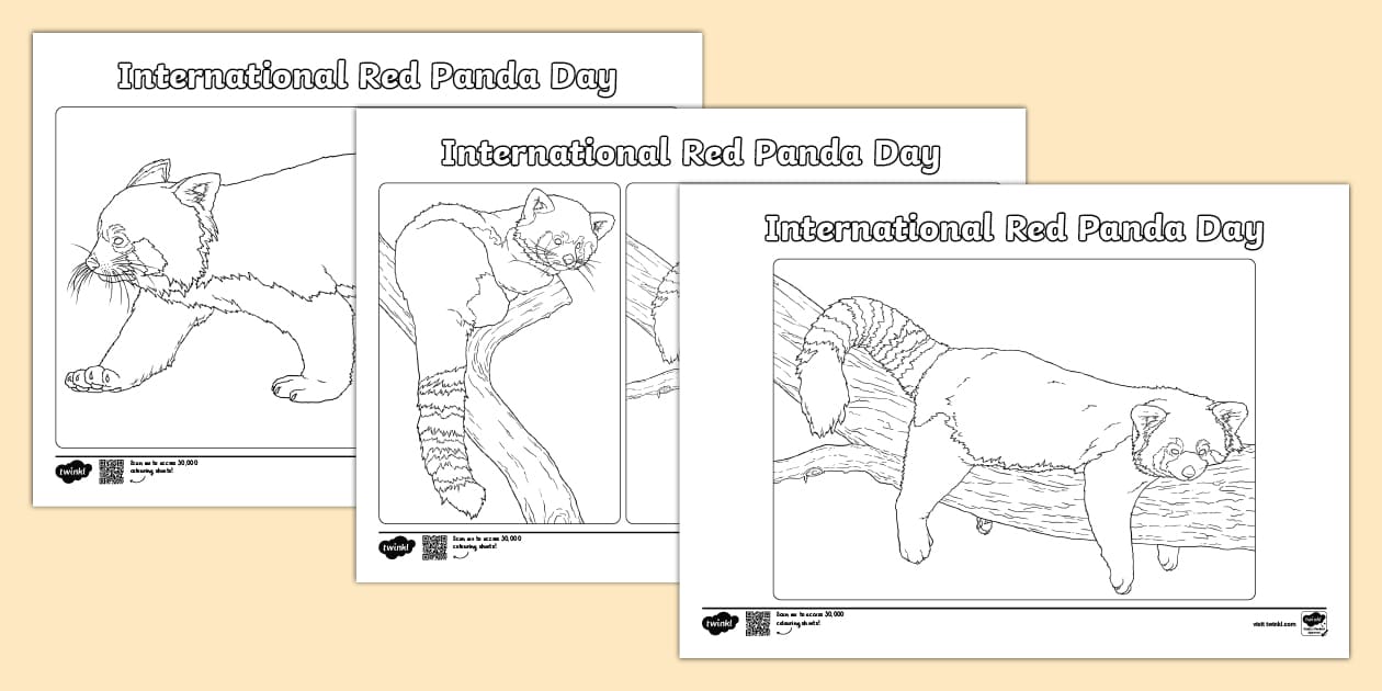 KS2 International Red Panda Day Colouring Pages - Twinkl