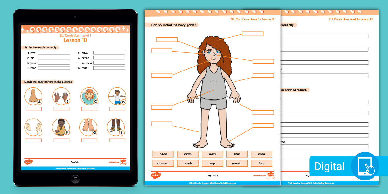 ELL Curriculum: Level 1, Lesson 10 Interactive Activity