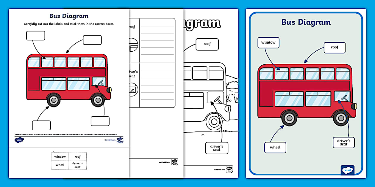 Bus Diagram Pack (teacher made) - Twinkl