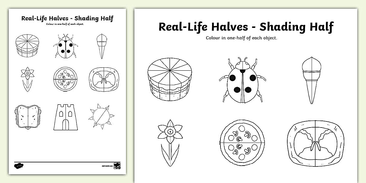 👉 Real-Life Halves – Shading Half | Twinkl | KS1