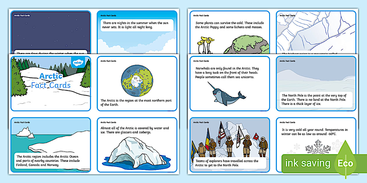 Arctic Fact Cards - Polar Regions - Geography - KS1 - Twinkl