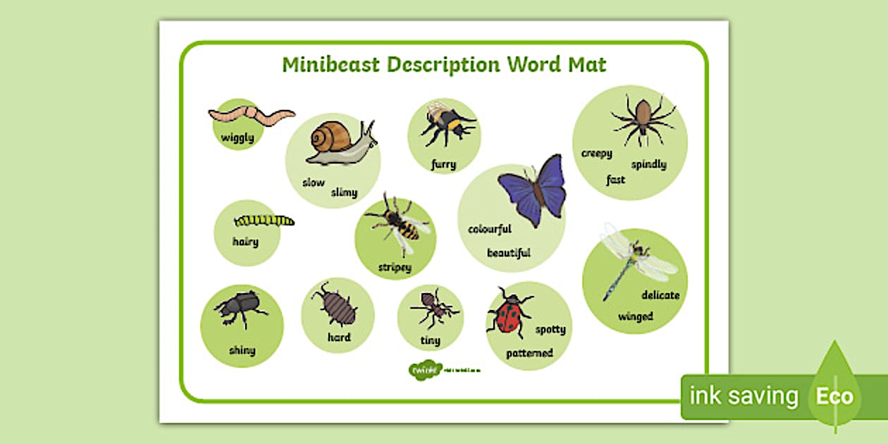 Editable Minibeast Description Word Mat - Twinkl