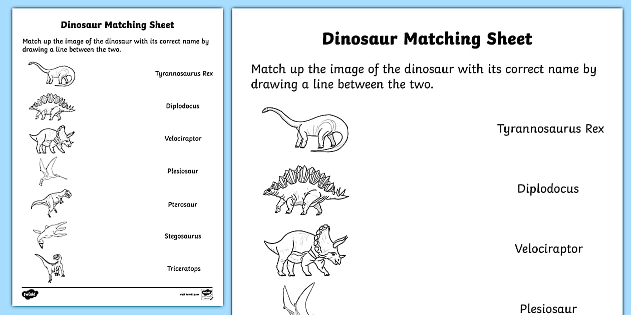 Realistic Dinosaurs Matching Sheet - Twinkl
