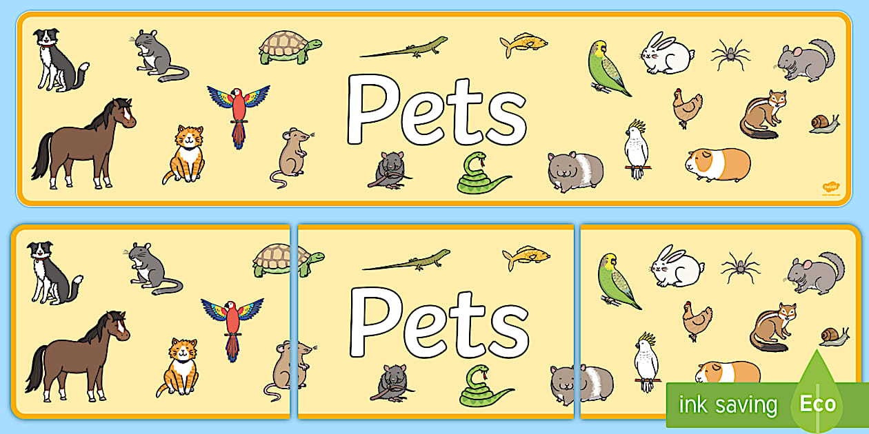Pets Display Banner (Teacher-Made) - Twinkl