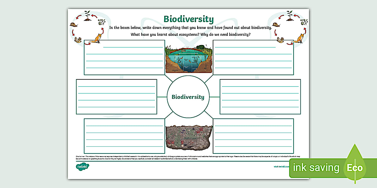 Biodiversity Mind Map Template | Science | Twinkl | KS1