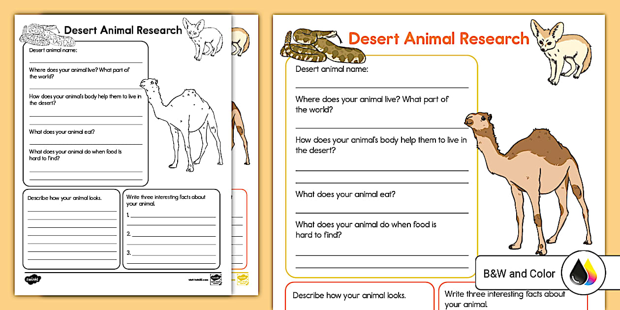 Desert Animals Research Activity Worksheet - Twinkl