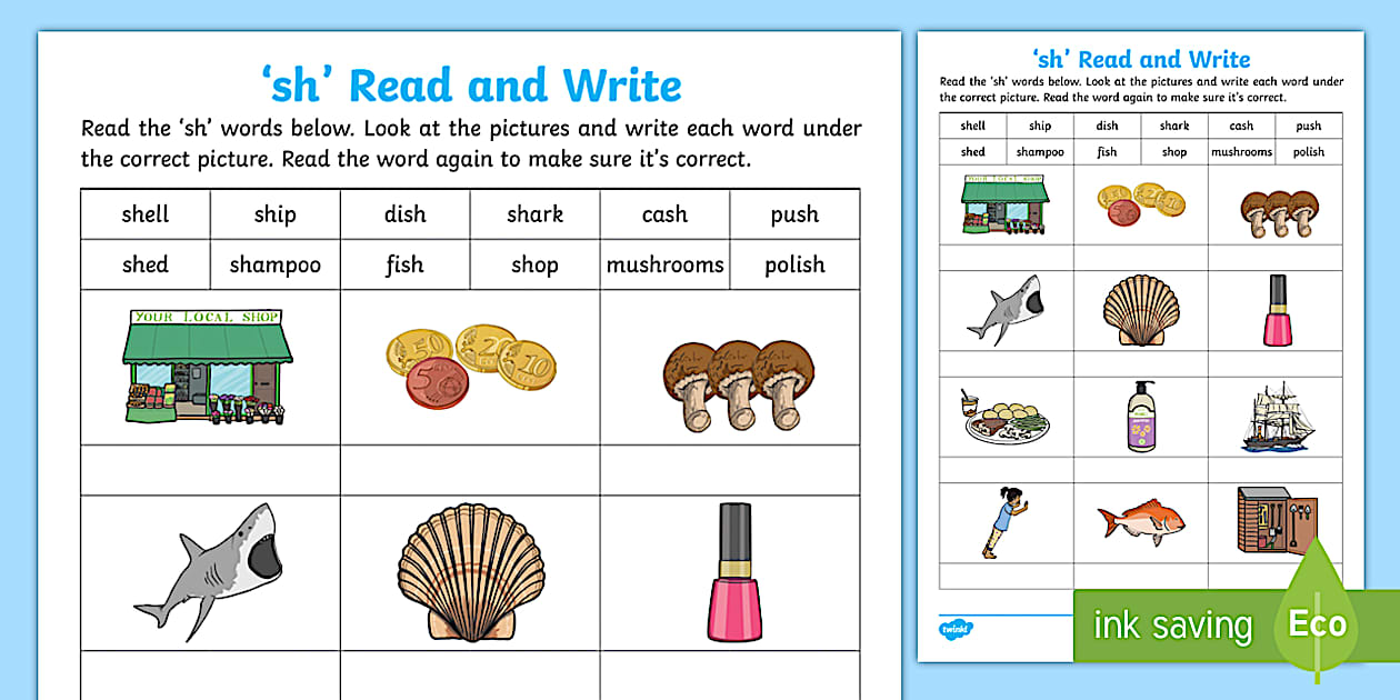 Cursive 'sh' Read and Write Worksheet (teacher made)