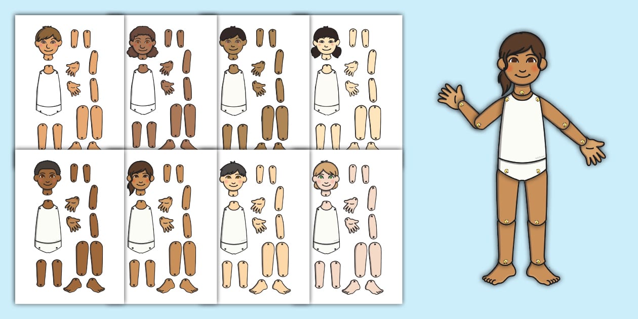 Split Pin Bodies (Teacher-Made) - Twinkl