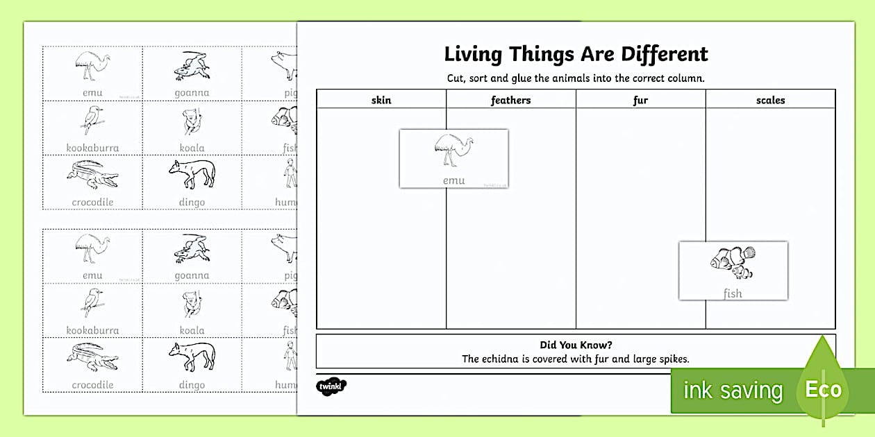 Living Things are Different Cut and Paste Worksheet / Worksheet