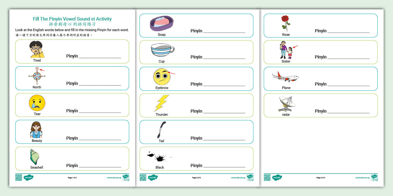 Singapore Mother Tongue Language Chinese Pinyin Activity