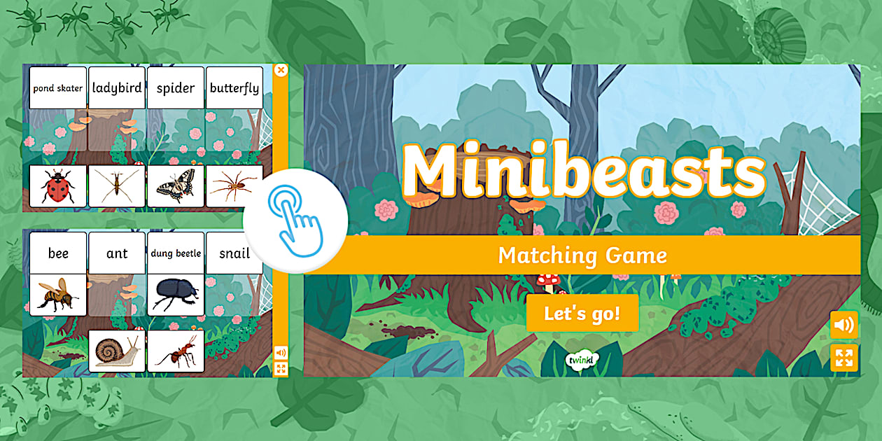 Minibeasts Interactive Matching Game (teacher made) - Twinkl