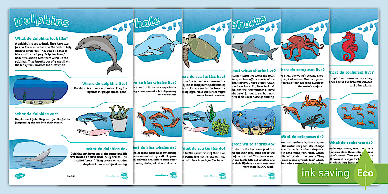 World Oceans Day Sea Animals Comprehension Pack - Twinkl