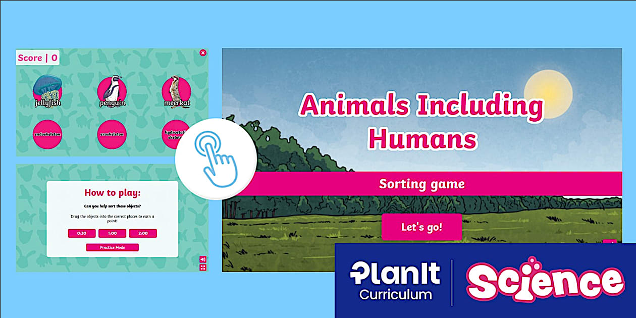 Animals Including Humans Sorting Game