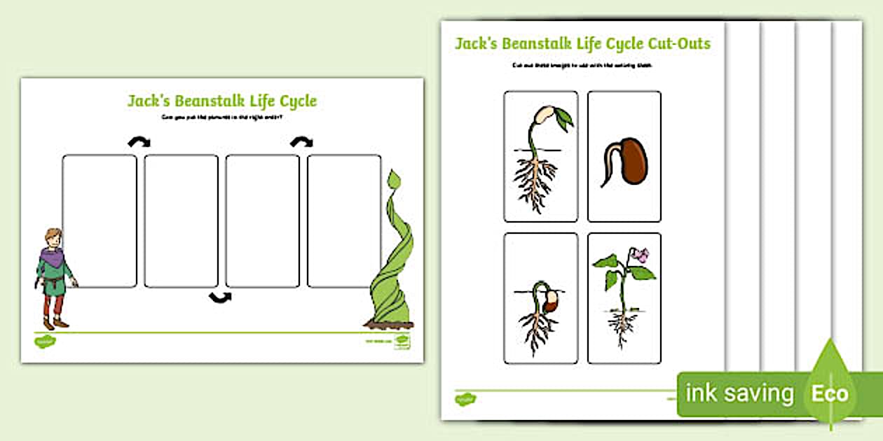 Editable Jack's Beanstalk Life Cycle Worksheet - Twinkl
